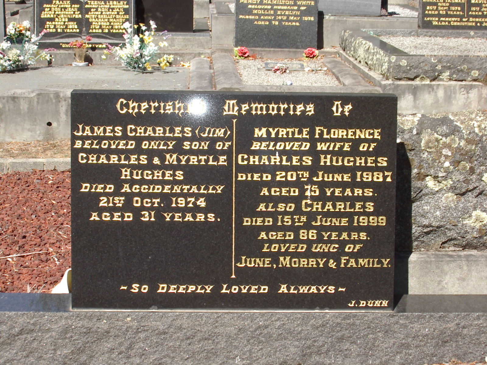 Chestnut Blue - Our Cemetery
